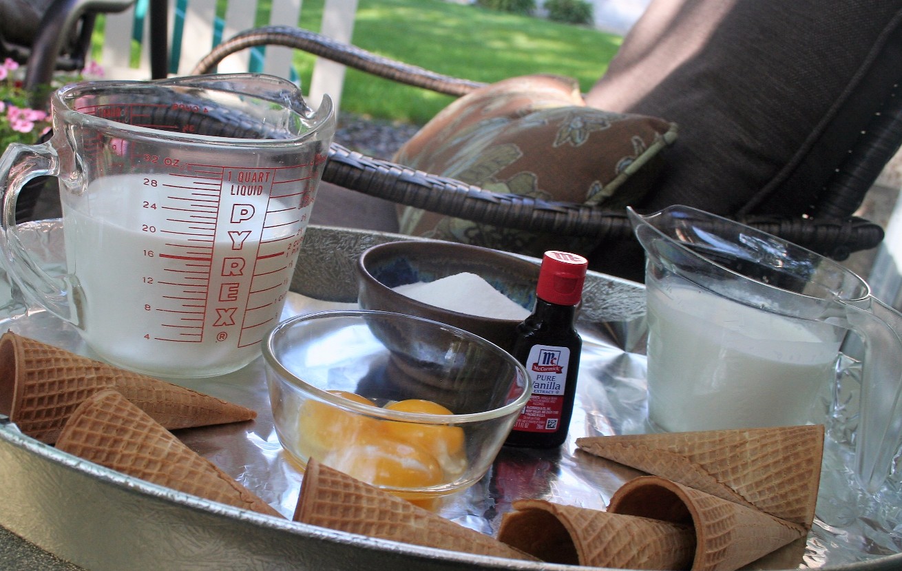 The Best Low Sodium Vanilla Ice Cream - Hacking Salt